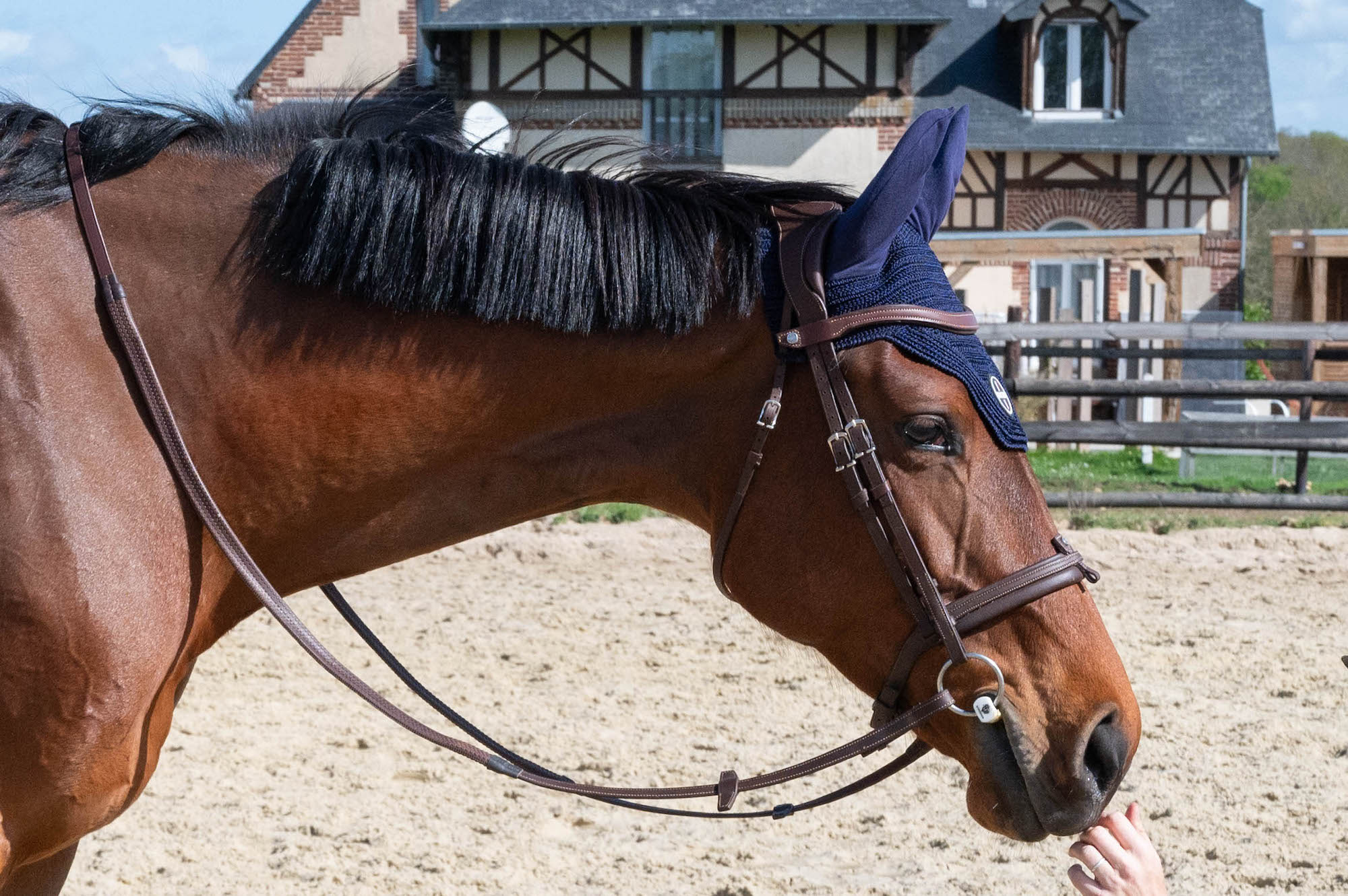 J’ai testé : le bonnet RACER® - Cavalettimag