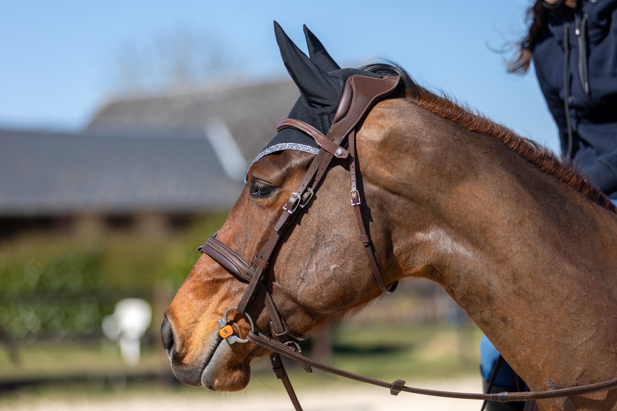 J’ai testé : le bridon anatomique Précision muserolle confort d’Antarès ...